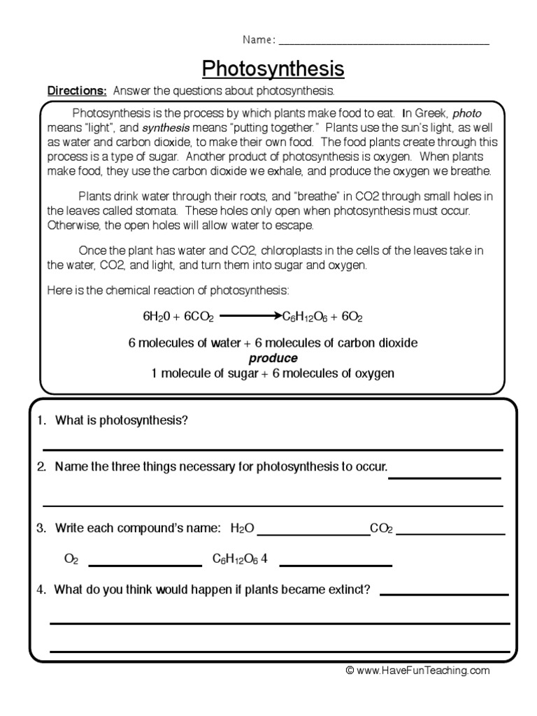 Photosyntheis Worksheet 7th Grade | PDF