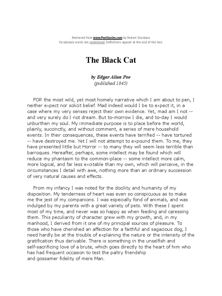 The Black Cat | PDF | Plaster | Cats