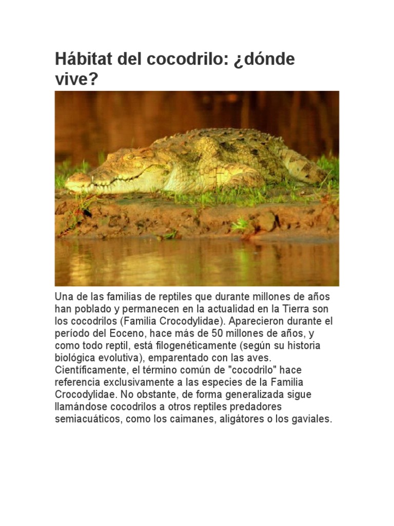 Hábitat Del Cocodrilo | PDF | Cocodrilo | Reptil