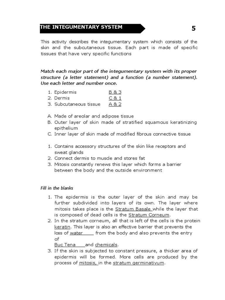 DLaboratory Actiivty 5 - Integumentary System Answer | PDF ...