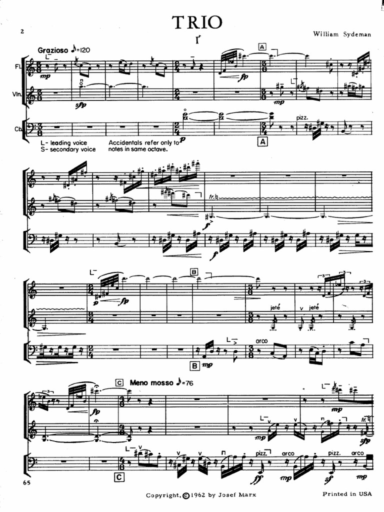 William Sydeman Trio Fl+vno+cb | PDF | Musical Notation | Musical ...