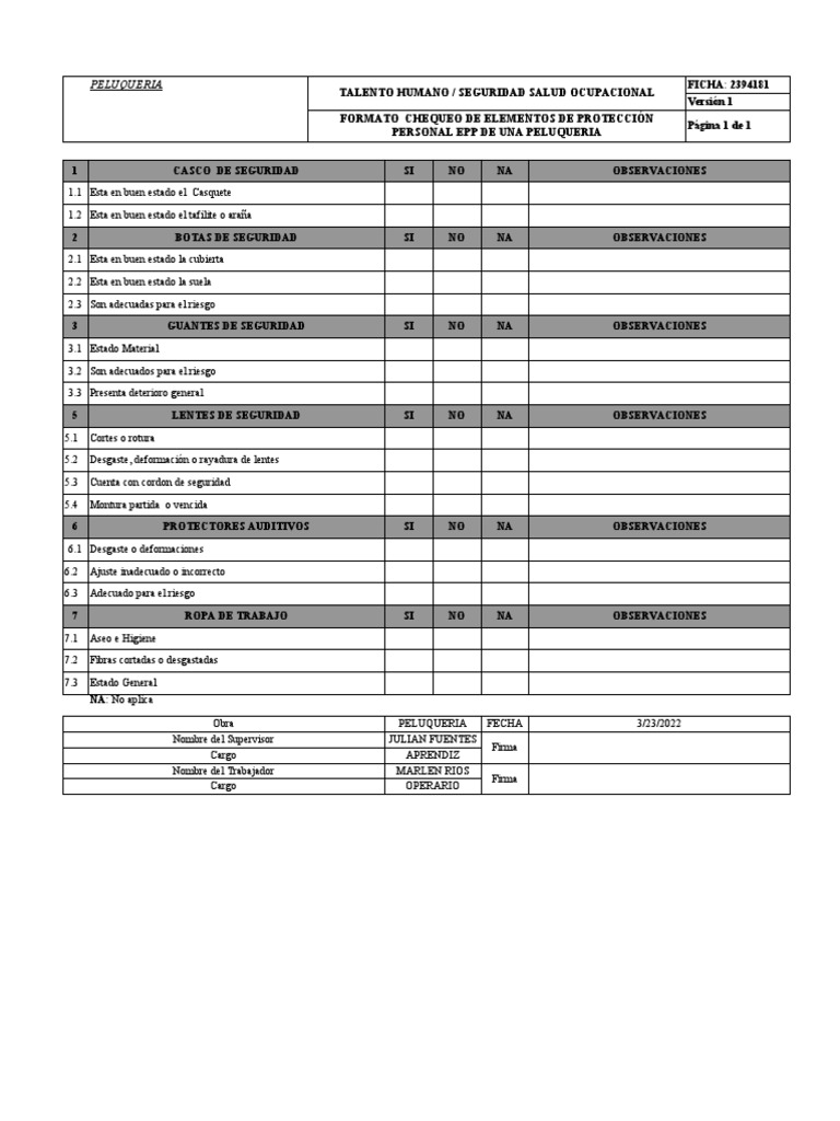 Formato de Uso de Epps | PDF | La seguridad | Seguridad y salud ocupacional