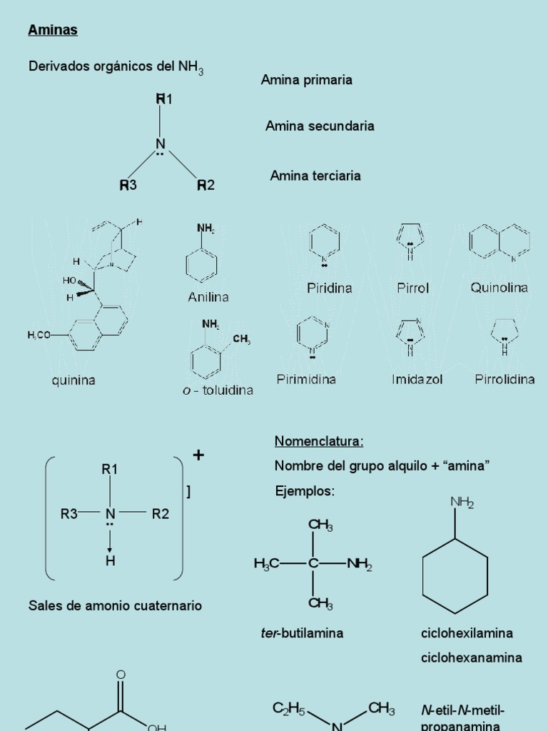 Aminas | PDF | Compuestos de carbono | Química Orgánica