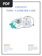 Catheter Care Checklist | PDF