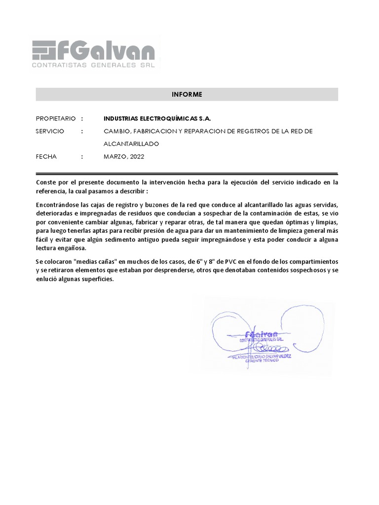 Informe Ieqsa Tratamiento Registros | PDF