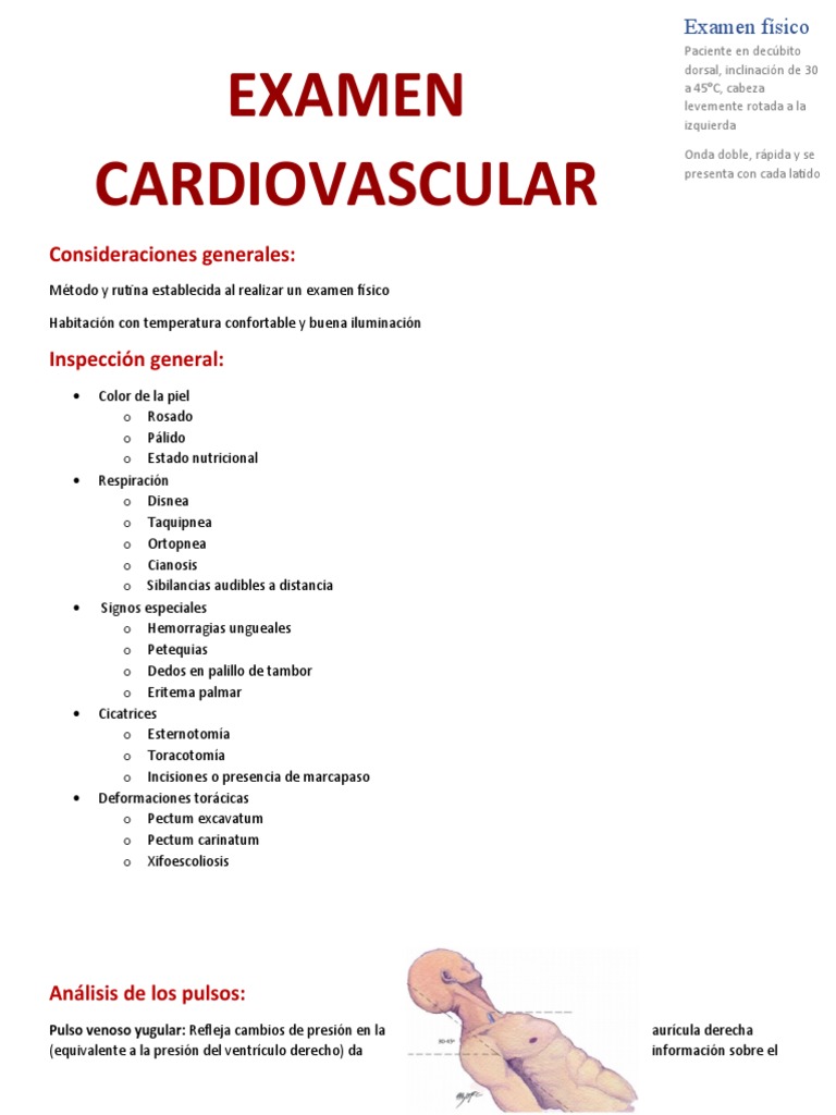 Examen Cardiovascular: Guía Completa | PDF | Sistema circulatorio | Corazón