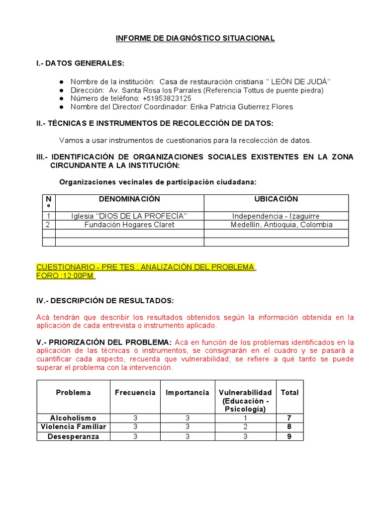 Esquema Informe Diagnóstico Situacional | PDF