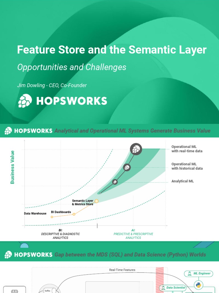 The Feature Store and The Semantic Layer | PDF | Software | Computing