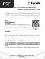 SECNI | PDF | Gobierno | Justicia
