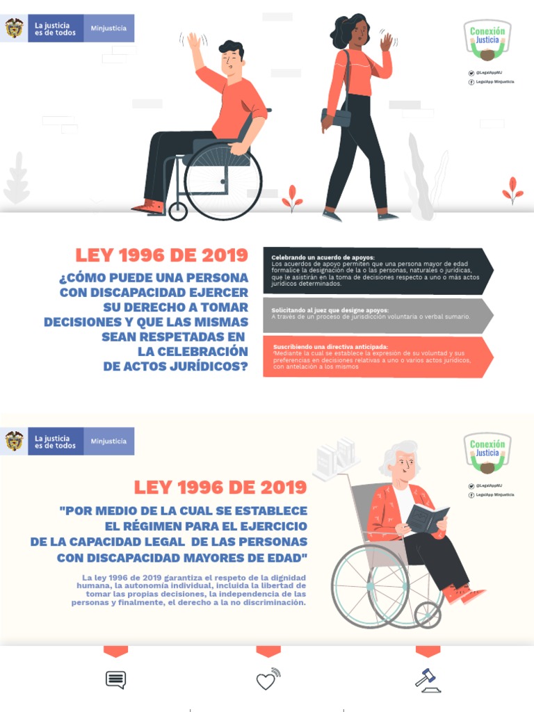 Ley 1996 de 2019 - I | PDF