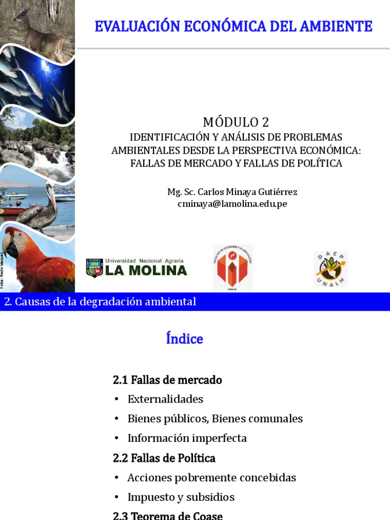 MODULO2 | PDF | Mercado (economía) | Exterioridad