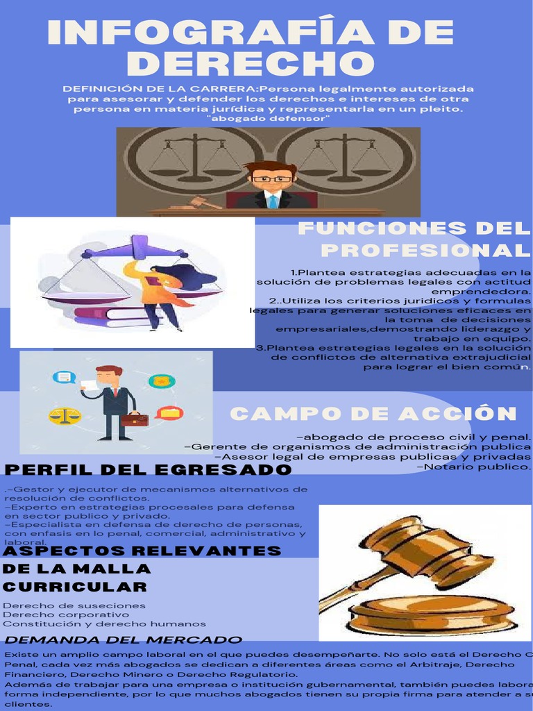 Infografía De Derecho Pdf Business Economias