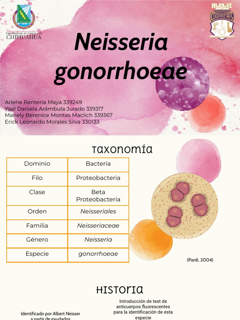 Neisseria Gonorrhoeae | PDF | Especialidades Medicas | Microbiología