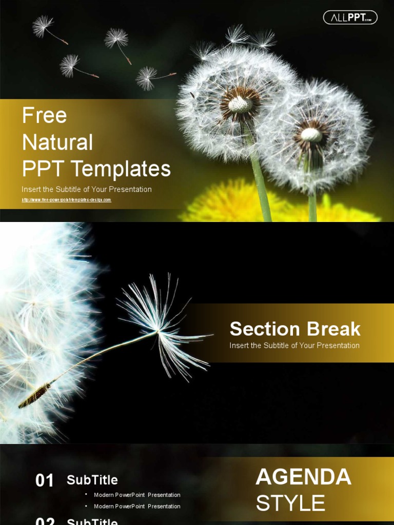 Dandelion Seeds Blowing PowerPoint Templates | PDF | Page Layout ...