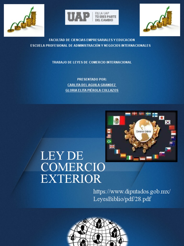 Leyes de Comercio Exterior: Definiciones y Aplicaciones | PDF ...