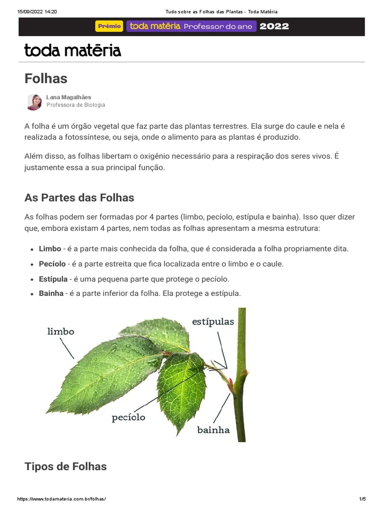 Funções e Estruturas das Folhas | PDF | Folha | Plantas