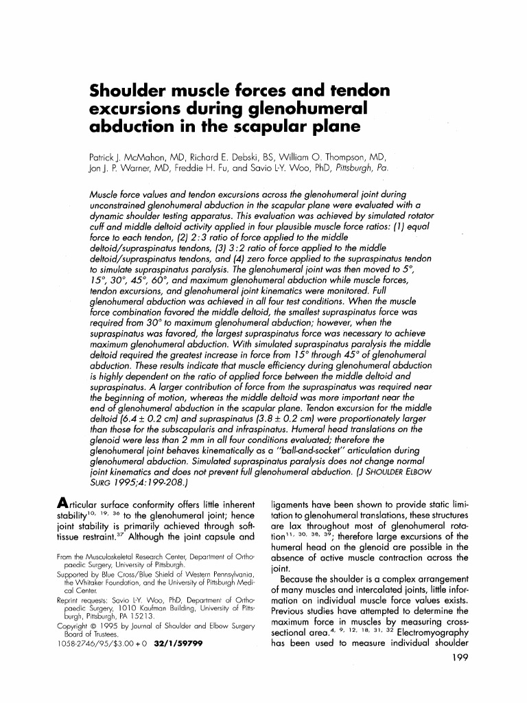 Shoulder Muscle Forces and Tendon Excursions During Glenohumeral ...