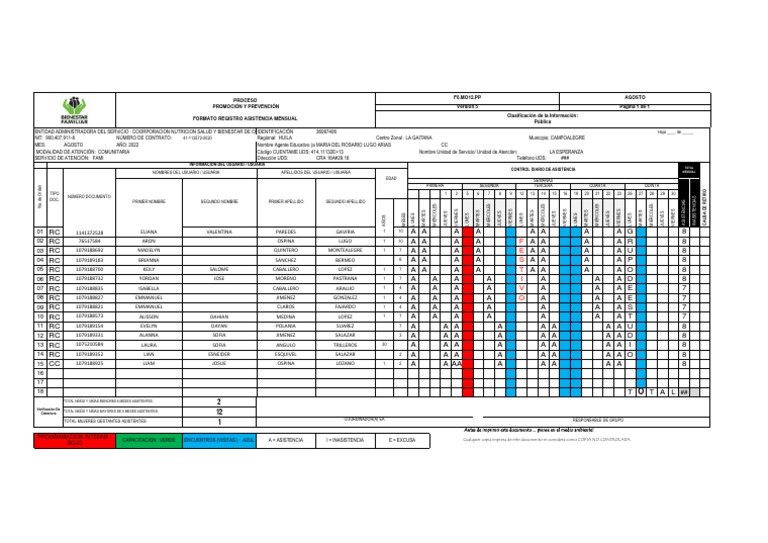 Formato Ram | PDF
