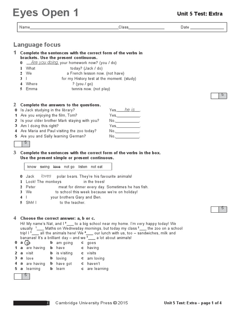 Unit 5 - Extra Test, Customisable | PDF