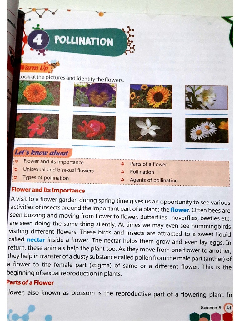 Gishan Science Text Book | PDF