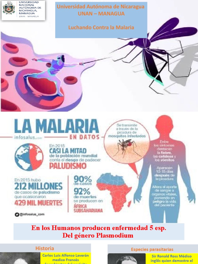 Malaria Fisiología | PDF | Malaria | Especialidades Medicas