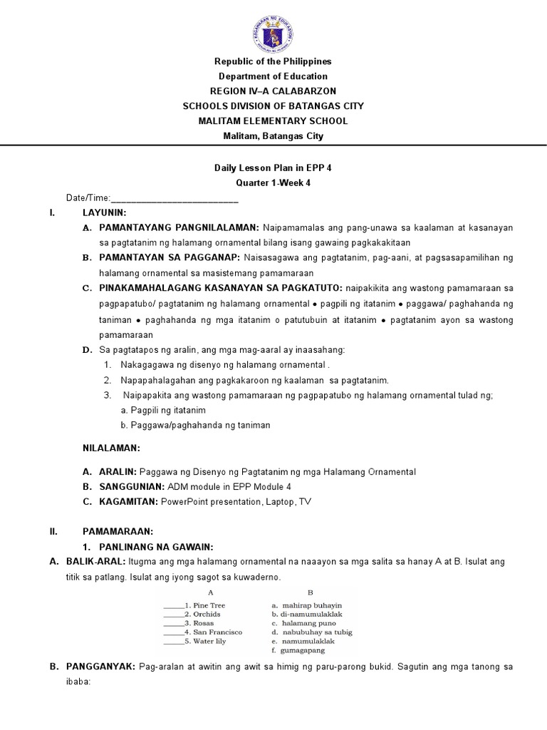 DLP in Epp q1 Week 4 Day 1 | PDF