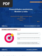 CARPOGRAMA | PDF | Mano | Sistema esquelético