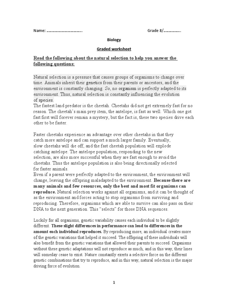 Natural Selection Worksheet for 8th Grade | PDF | Natural Selection ...