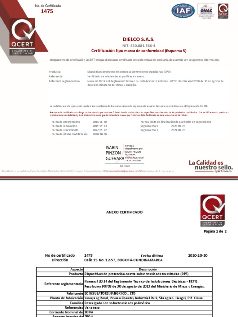 1475 DPS - Pararrayos | PDF | Ingenieria Eléctrica | Electricidad