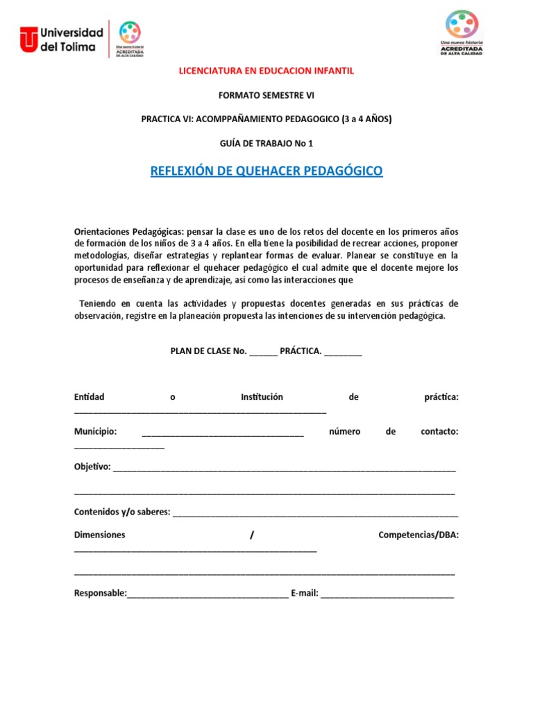 Formatos Practica | PDF | Educación de la primera infancia | Método de ...