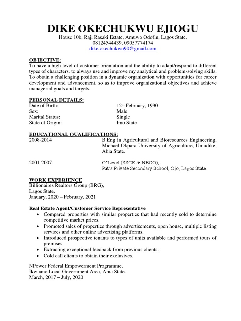 Dike Okechukwu Ejiogu CV CS | PDF | Business | Economies