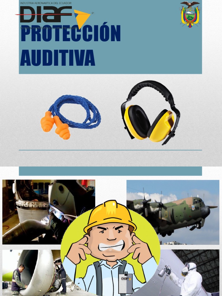 Protección Auditiva Charla | PDF