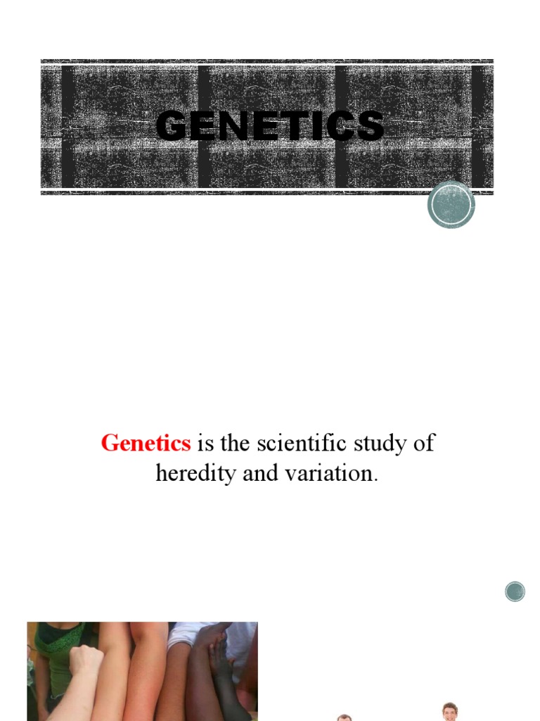 Genetics | PDF | Dominance (Genetics) | Genotype
