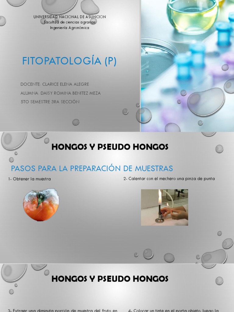 TP N°1 - Preparacion de Muestras - Daisy Benitez 5to 3ra | PDF