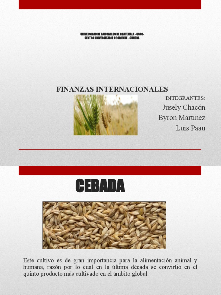 Presentacion de Cebada Grupo 4 | PDF | Contratos futuros | Bolsa