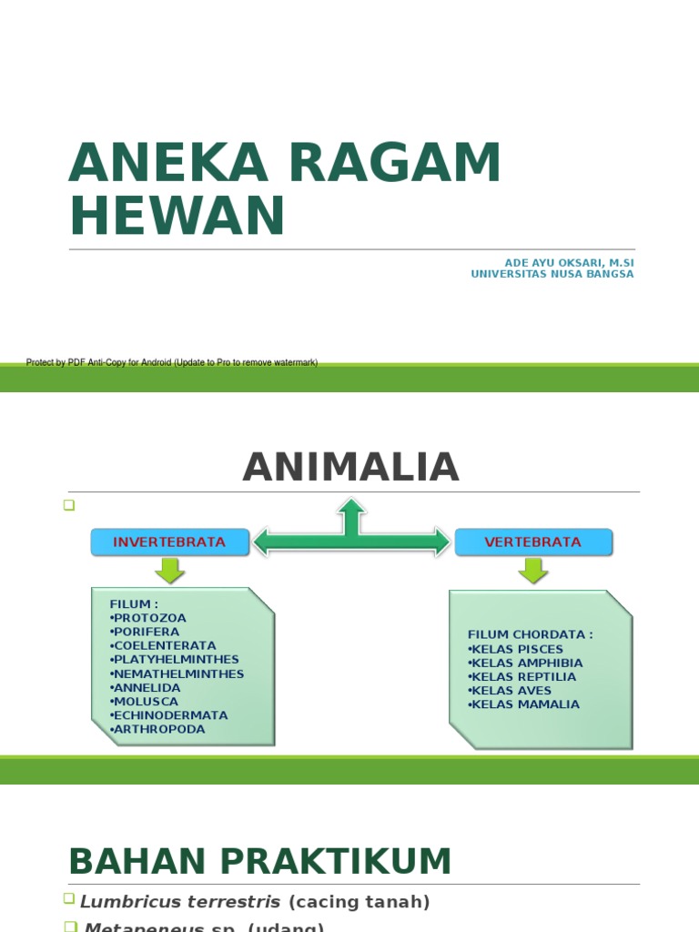 protected-PERTEMUAN 13. ANEKA RAGAM HEWAN | PDF