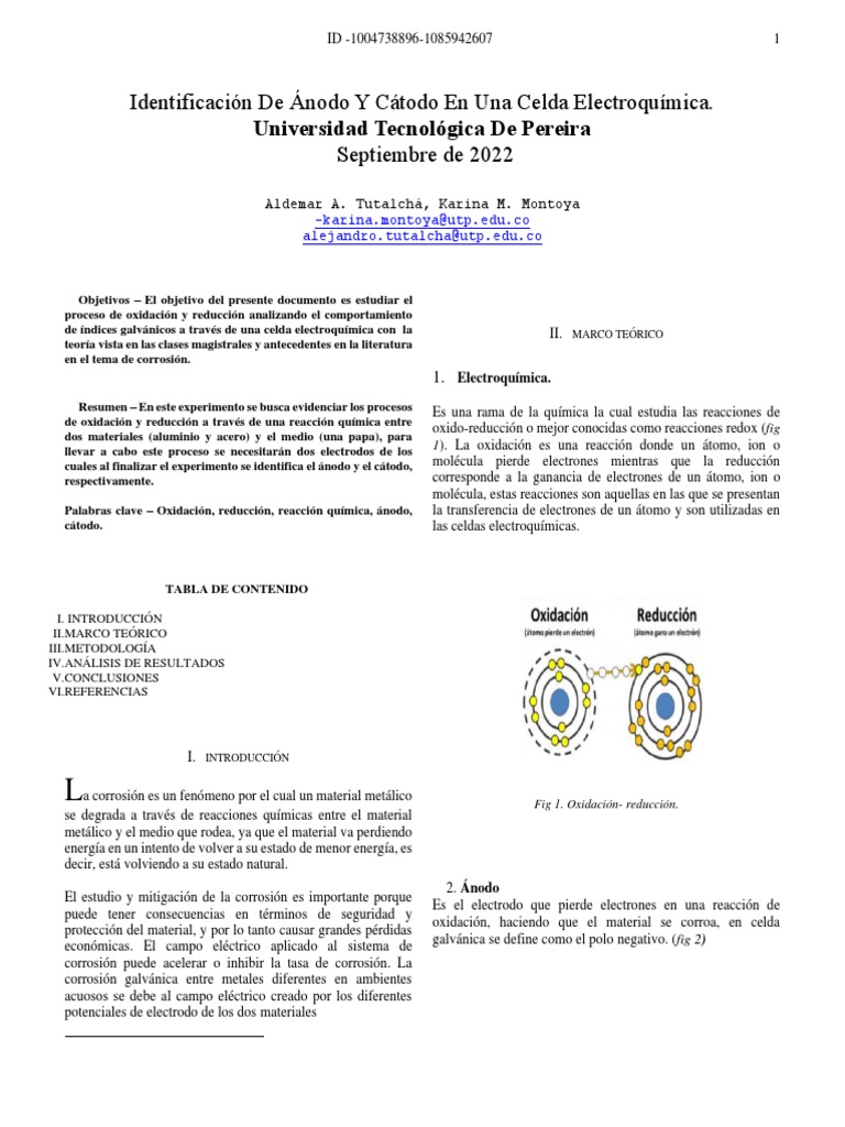 Informe II: Celda Electroquimica | PDF | Corrosión | Electrodo