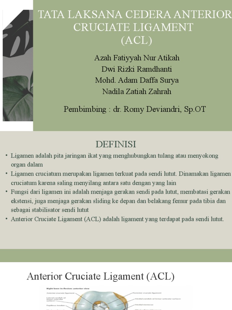 Tata Laksana Cedera Anterior Cruciate Ligament (Acl) | PDF