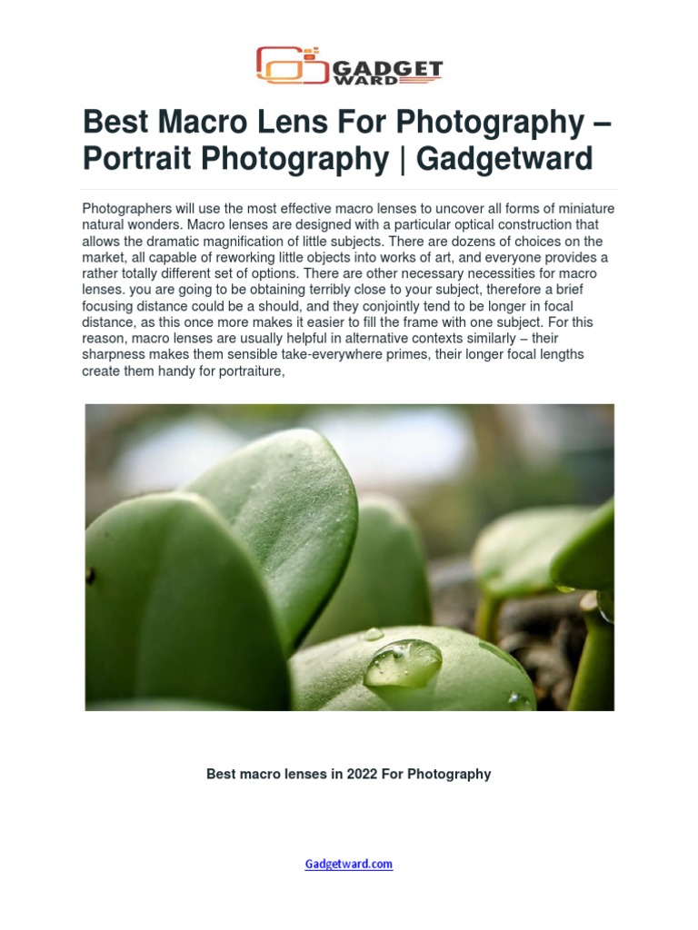 Best Macro Lens For Photography - Portrait Photography - Gadgetward ...