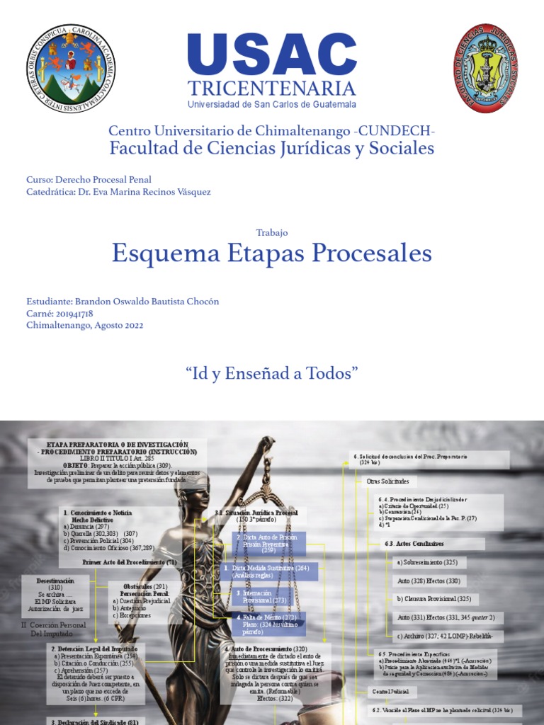 Esquema Etapas Procesales | PDF | Sentencia (ley) | Ley Pública