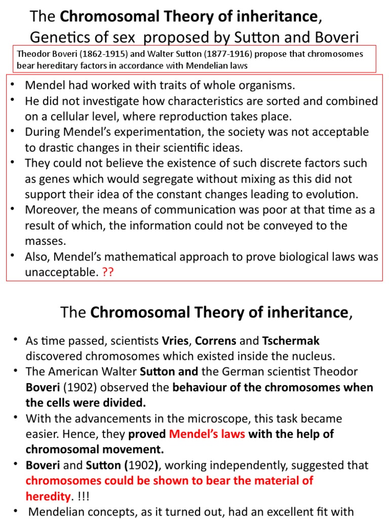 Boveri and Sutton - Beadle and Tatum | PDF | Heredity | Genetics