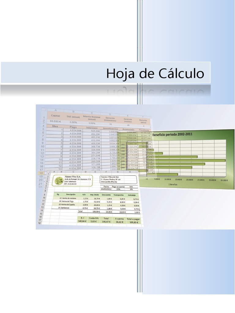 Excel | PDF | Hoja de cálculo | Microsoft Excel