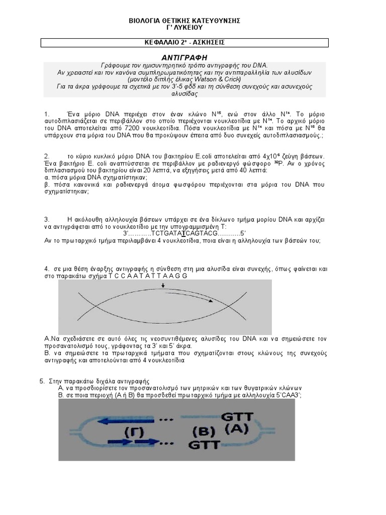 Askiseis 2o Kefalaio | PDF