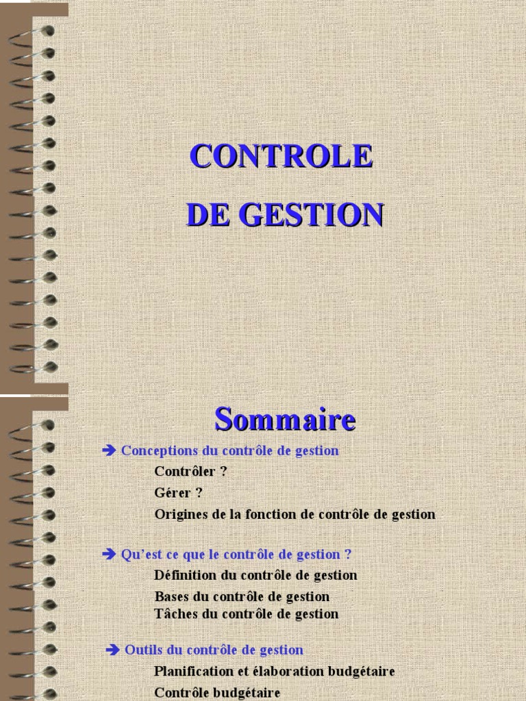 Contrôle de Gestion | PDF