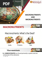 MACRONUTRIENTS_PPT-_SEPT._2023 | PDF | Carbohydrates | Diet & Nutrition