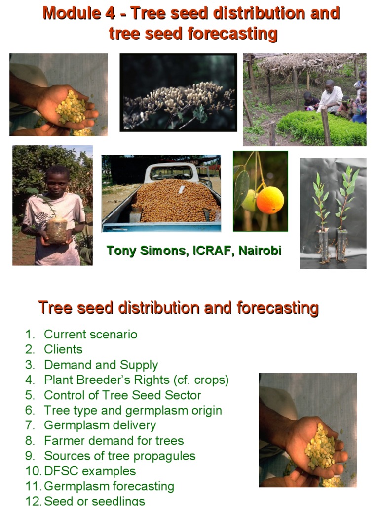 M3S4 Tree Seed Distribution | PDF | Trees | Plants
