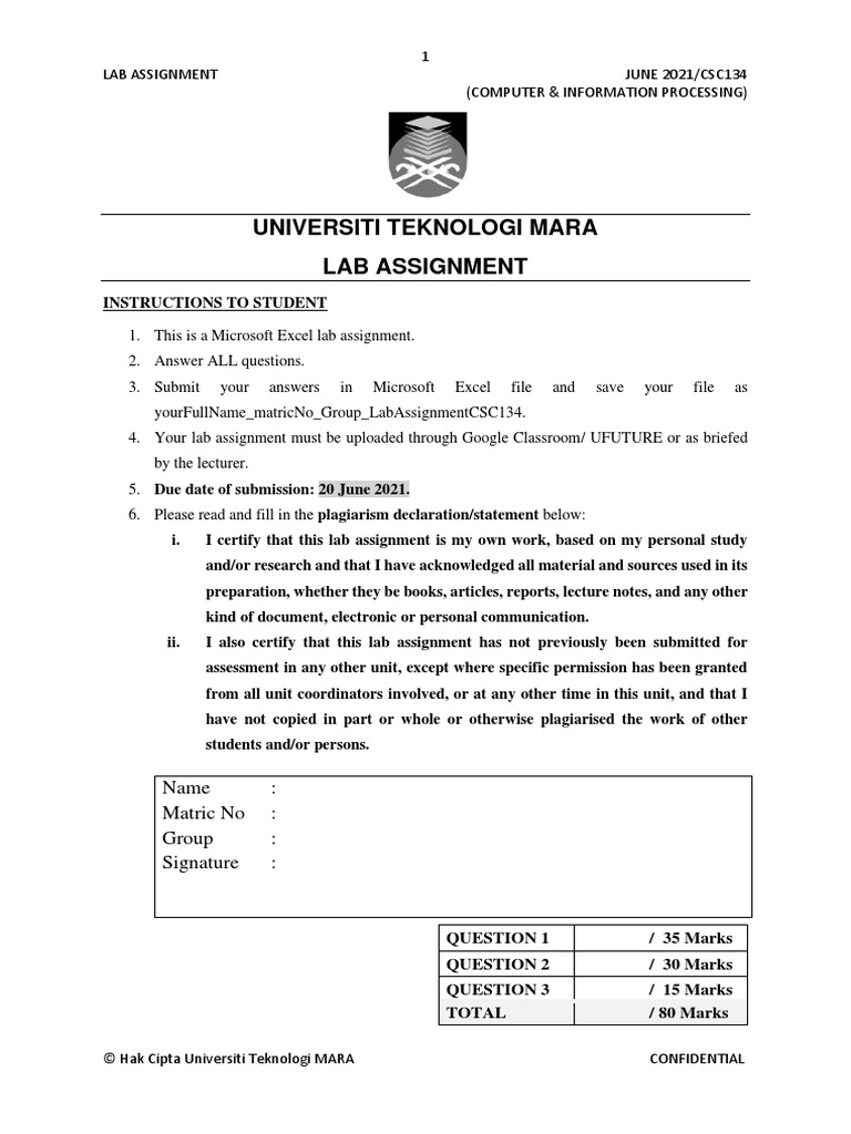 Lab Assignment June - 2021 | PDF | Pie Chart | Chart