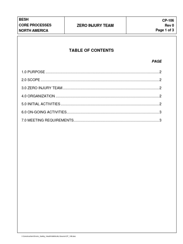 CP - 106 - Zero Injury Team | PDF | Goal | Project Management