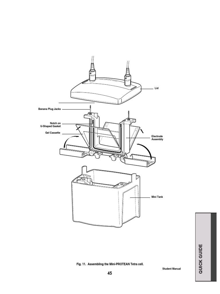 Na Plug Jacks | PDF | Gel Electrophoresis | Gene