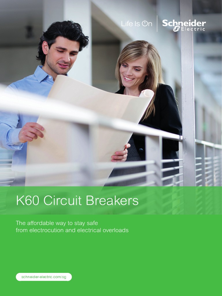 Schneider Catalogue | PDF | Insulator (Electricity) | Alternating Current